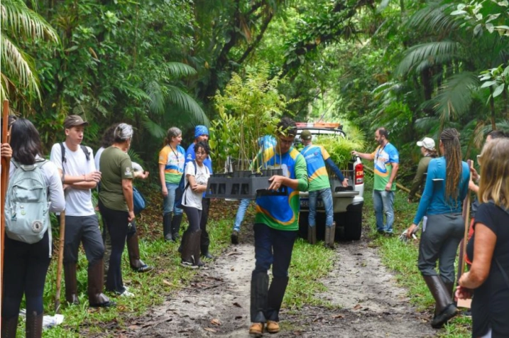 Voluntários plantam mudas de espécies nativas no Parque Estadual do ...
